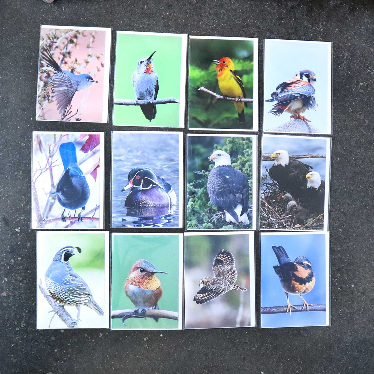 Art Card (Mike Yip) - $4.95 – Salish Sea Market (Bowser)