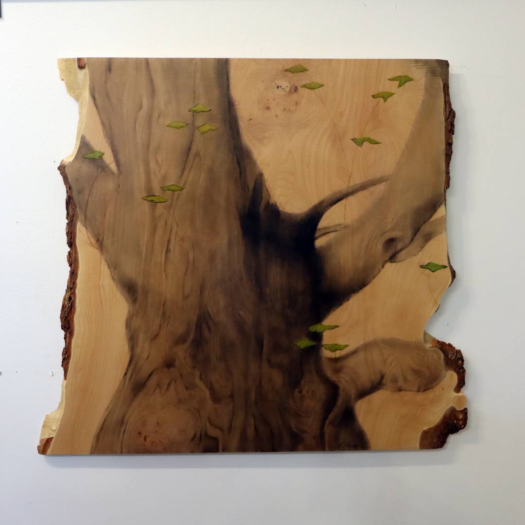 Mable's Big Leaf Maple – Salish Sea Market (Bowser)