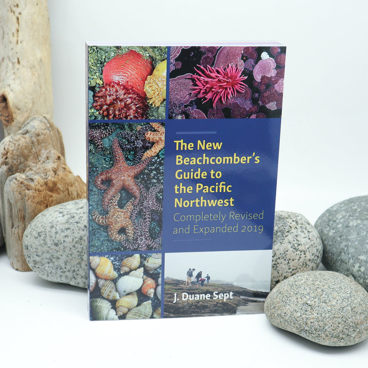 Beachcomber's Guide PNW - Revised 2019 (Harbour) – Salish Sea Market ...