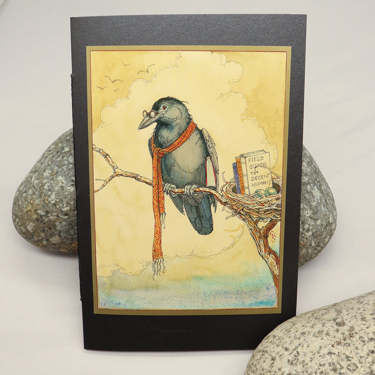 Book - Triptych - Splendid Raven Field Guide to Decent Humans (CVS ...